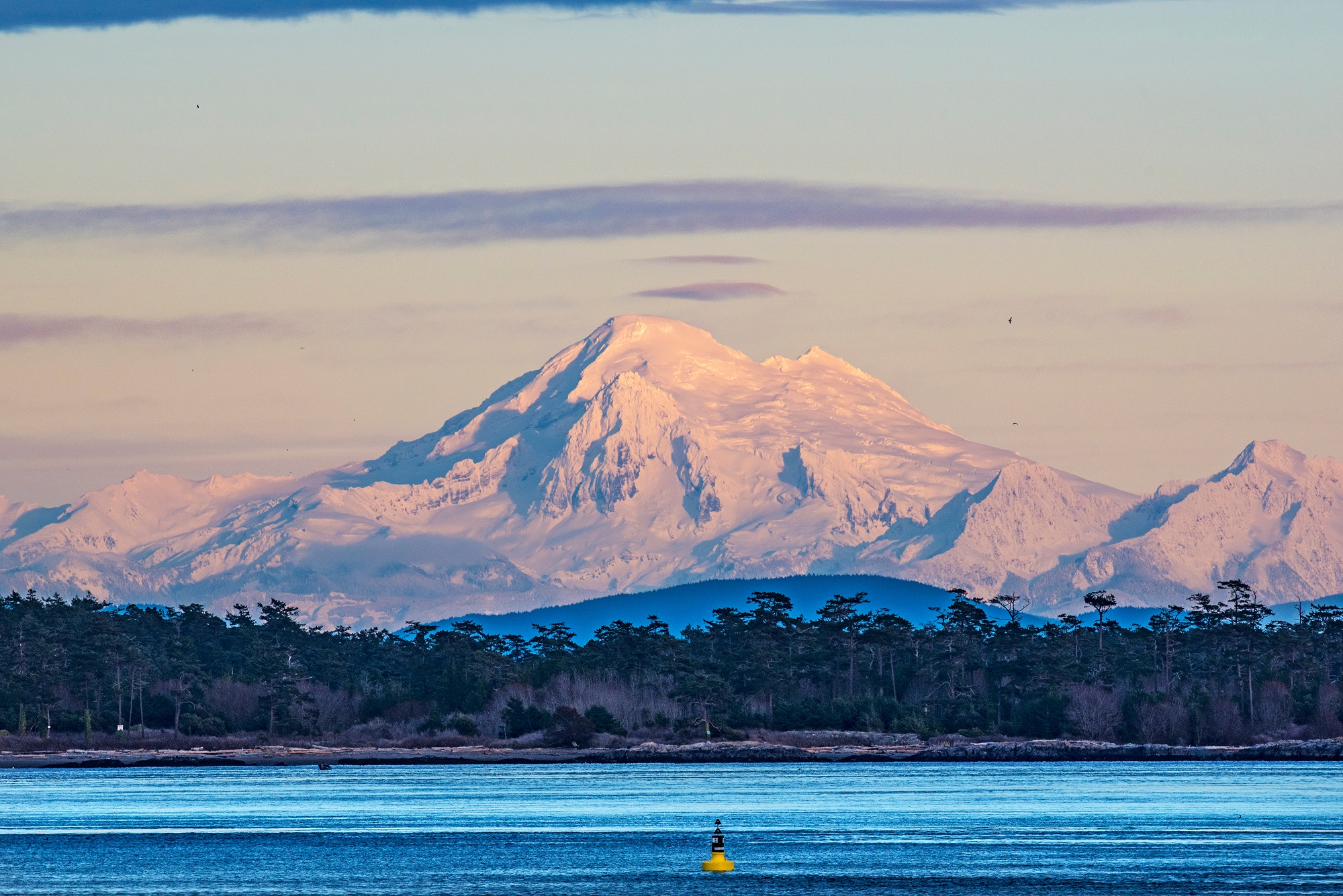 Endodontics Bellingham WA, Endodontist